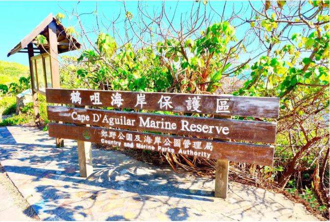 Buy Discover the Mystical Area in Hong Kong Experiences Tickets in Hong ...