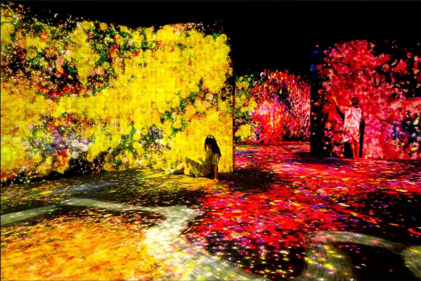 247tickets.com | Castle in the Sky- teamLab Bordless Summer Concert